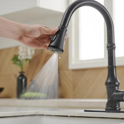 BWE® One-Handle Pull-Down Gold and Black Kitchen Faucet at Menards®