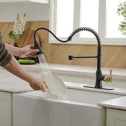 BWE® One-Handle Pull-Down Gold and Black Kitchen Faucet at Menards®