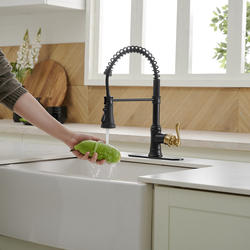 BWE® One-Handle Pull-Down Gold and Black Kitchen Faucet at Menards®