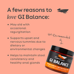 Super Snouts® GI Balance™ Digestive Pet Supplement Pumpkin & Pre-Biotic ...