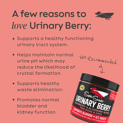 Super Snouts® Urinary Berry Cranberry & Blueberry Blend Pet Supplement ...