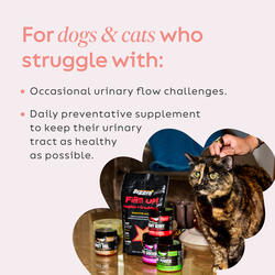 Super Snouts® Urinary Berry Cranberry & Blueberry Blend Pet Supplement ...