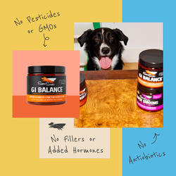 Super Snouts® GI Balance™ Digestive Pet Supplement Pumpkin & Pre-Biotic ...
