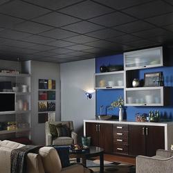 Armstrong® Ceilings Fine Fissured™ 2' x 2' Black Textured Drop Ceiling ...