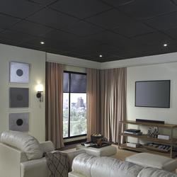 Armstrong® Ceilings Fine Fissured™ 2' x 2' Black Textured Drop Ceiling ...