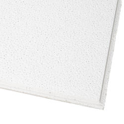 Armstrong® Ceilings Brighton™ 2' x 2' White Textured Angled Tegular ...