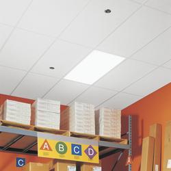 Armstrong® Ceilings Shasta® 2' x 4' White Perforated Fiberglass Square ...