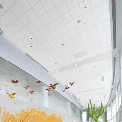 Armstrong® Ceilings Optima® 2' x 2' White Fiberglass Square Drop ...