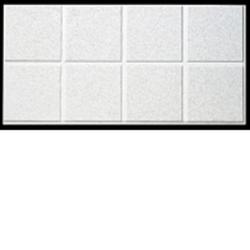 Armstrong® Ceilings Cirrus® Second Look® I 2' x 4' White Textured ...