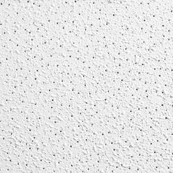 Armstrong® Ceilings Georgian™ 2' x 4' White Textured Square Drop ...