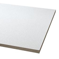 Armstrong® Ceilings Clean Room™ VL 2' x 2' White Unperforated Square ...