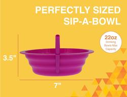 Arrow Sip-a-Bowl - 22 oz. - Assorted Styles at Menards®