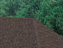Atlas Pro-Cut® Chestnut/Burnt Hickory Hip & Ridge Roofing Shingles (31 ...