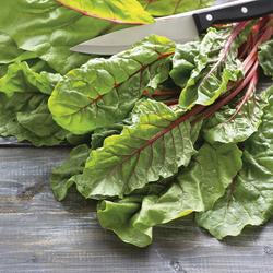 Back to the Roots® Organic 'Ruby Red' Swiss Chard at Menards®