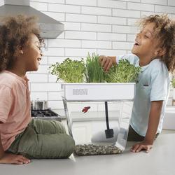 Back to the Roots® Water Garden Mini Aquaponic & Hydroponic Ecosystem ...