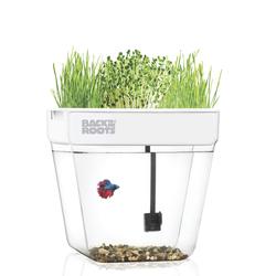 Back to the Roots® Water Garden Mini Aquaponic & Hydroponic Ecosystem ...