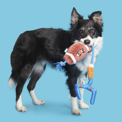 BARK The Whole Canine Yards Plush Dog Toy at Menards®