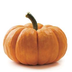 Tango Pumpkin at Menards®