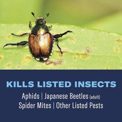 BioAdvanced® Ready-to-Spray 3-in-1 Insect, Disease & Plant Mite Control ...
