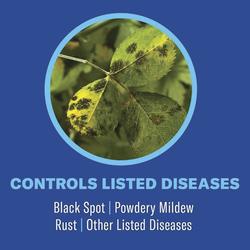 BioAdvanced® Ready-to-Spray 3-in-1 Insect, Disease & Plant Mite Control ...