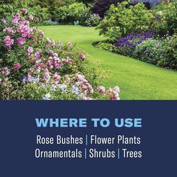 BioAdvanced® Ready-to-Spray 3-in-1 Insect, Disease & Plant Mite Control ...