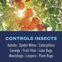 BioAdvanced® 3-in-1 Fruit, Citrus & Nut Ready-to-Spray Tree Spray - 32 ...