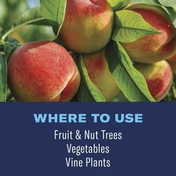 BioAdvanced® 3-in-1 Fruit, Citrus & Nut Ready-to-Spray Tree Spray - 32 ...