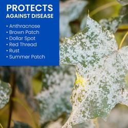 BioAdvanced® Ready-to-Spray Disease Control for Lawns - 32 oz. at Menards®