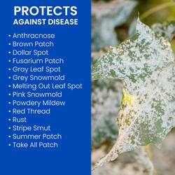 BioAdvanced® Fungus Control for Lawns Granules - 10 lbs. at Menards®