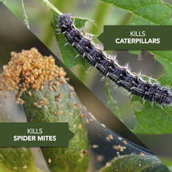 Natria® Ready-to-Use Garden Insect, Disease & Mite Killer - 28 oz at ...