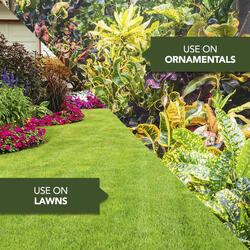 Natria® Ready-to-Use Garden Insect, Disease & Mite Killer - 28 oz at ...