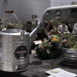 2-1/2 Gallon Steel Watering Can at Menards®