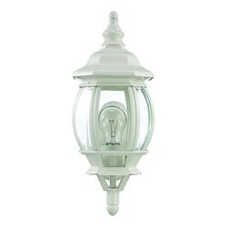 Patriot Lighting® Ellie White Outdoor Wall Light at Menards®