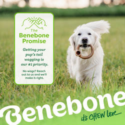 Benebone® Limited Edition Medium Peppermint Ring Dog Toy at Menards®