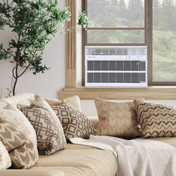 Denali Aire® 18,300 BTU 220-Volt Window Air Conditioner with Heat at ...