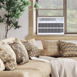 Denali Aire® 23,700 BTU 230-Volt Window Air Conditioner with Heat at ...