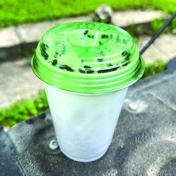 Fly-Lid Fly Trap - 2 pack at Menards®