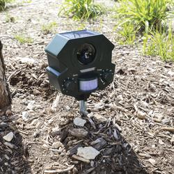 Solar Animal Repeller at Menards®