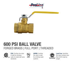ProLine 1/2-in Brass FPT Full Port Ball Valve at Menards®