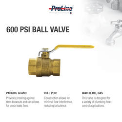 ProLine 1-in Brass FPT Full Port Ball Valve at Menards®