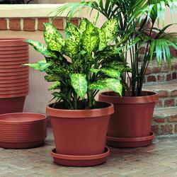 Bloem 20" Terra Cotta Plastic Terra Planter at Menards®
