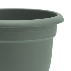 Bloem 12" Ariana Basil Self-Watering Plastic Planter at Menards®