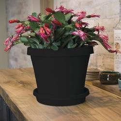 Bloem 12" Black Plastic Terra Planter at Menards®