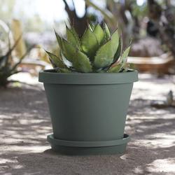 Bloem 12" Basil Plastic Terra Planter at Menards®