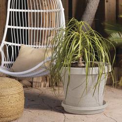 Bloem 16" Vanilla Bean Plastic Terra Planter at Menards®