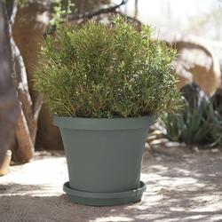 Bloem 20" Basil Plastic Terra Planter at Menards®