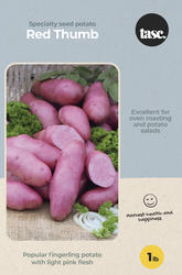 Potato - Red Thumb at Menards®