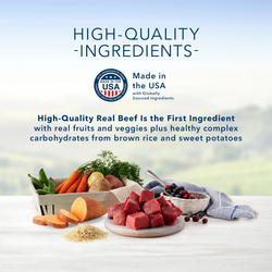 BLUE Life Protection Formula™ All Breed Adult Beef & Brown Rice Dry Dog ...