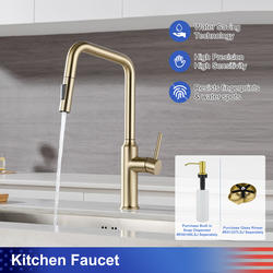 Rainlex® One-Handle Pull-Down Brushed Gold Kitchen Faucet at Menards®