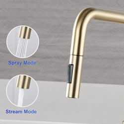 Rainlex® One-Handle Pull-Down Brushed Gold Kitchen Faucet at Menards®